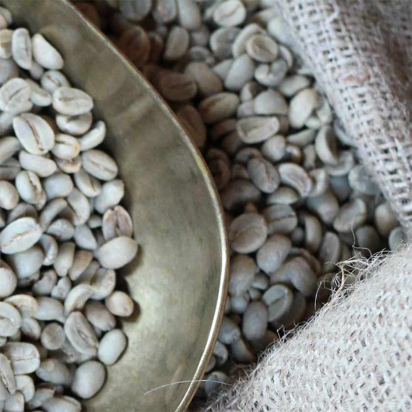Decaf SWP FT ORG Green Beans — Down East Coffee Roasters